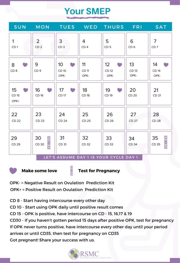 SMEP - Sperm Meets Egg Plan | How Does It Work?