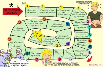 The IVF Process Timeline From Start to Finish | RSMC